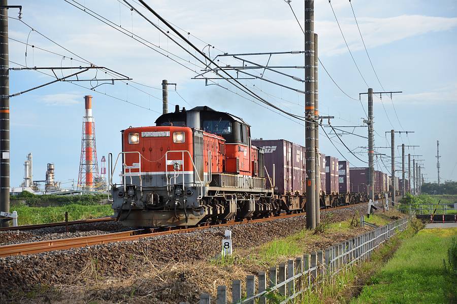 7月16日のDDDF: 日々のお散歩